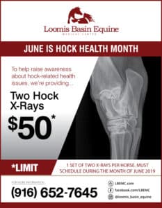 June is Hock Health Month – LBEMC